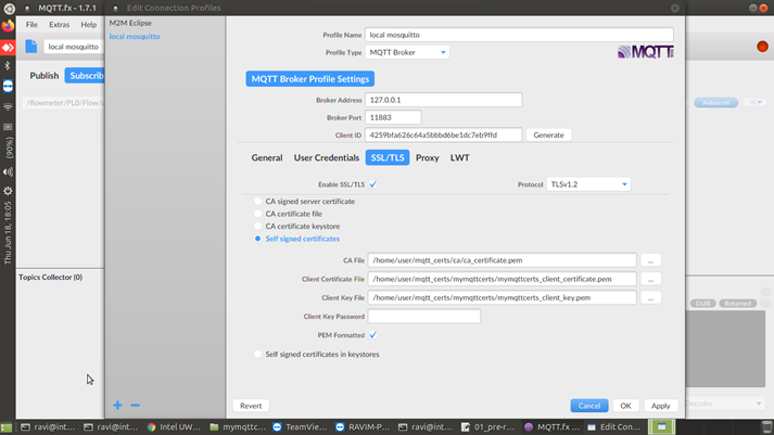 Advanced Guide — EII Documentation v1.0 documentation
